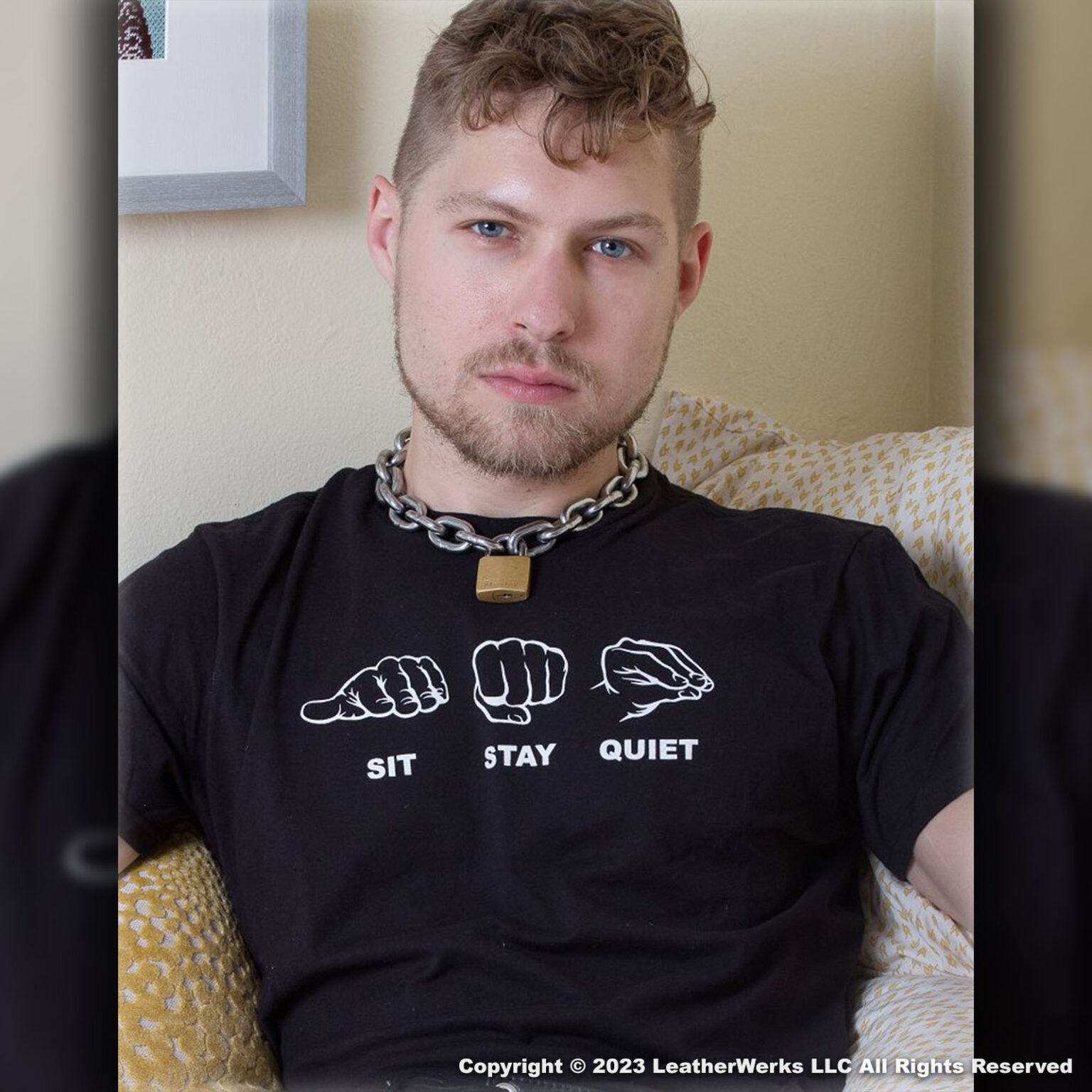 Sit Stay Quiet – Discreet Play Collar for Obedience