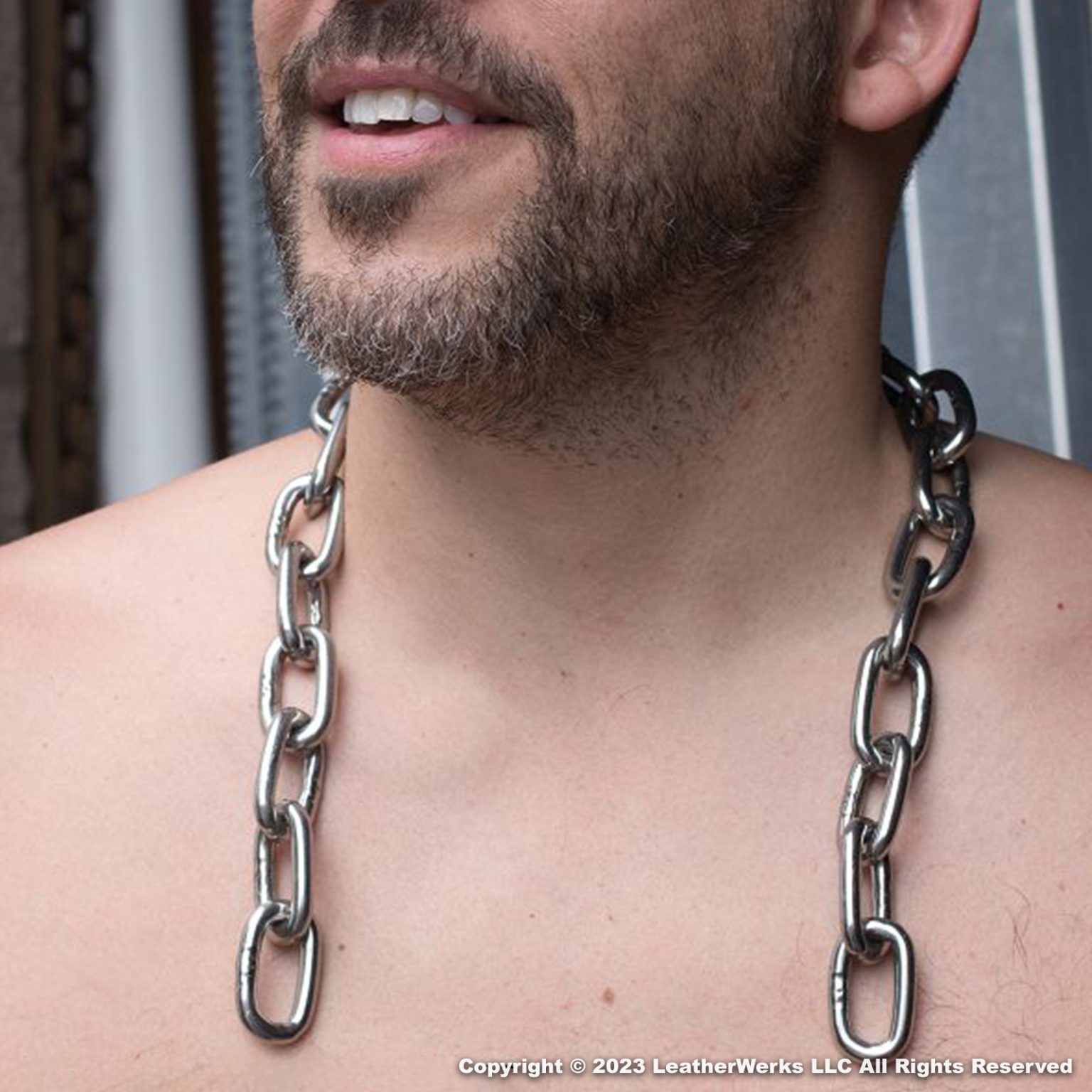 SS Collar 3/16 In - LeatherWerks