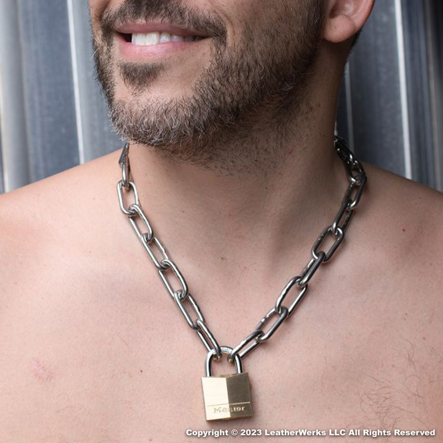 SS Collar with Brass Lock 1/8In - LeatherWerks